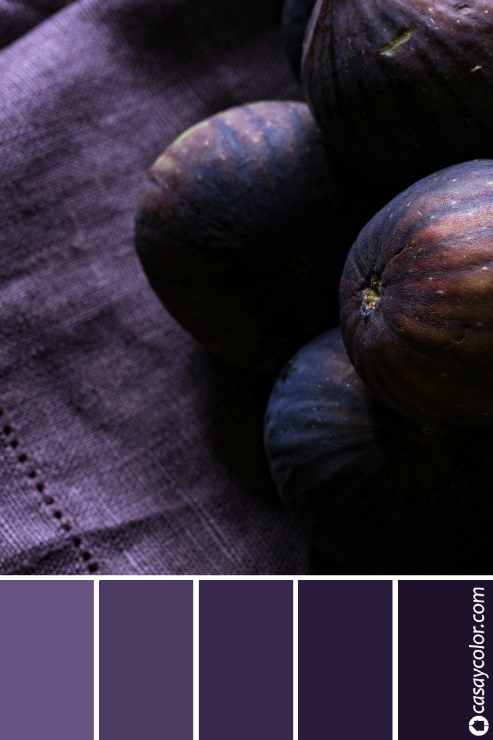 Gama de violetas y morados: nombres y carta de colores - Casa y Color