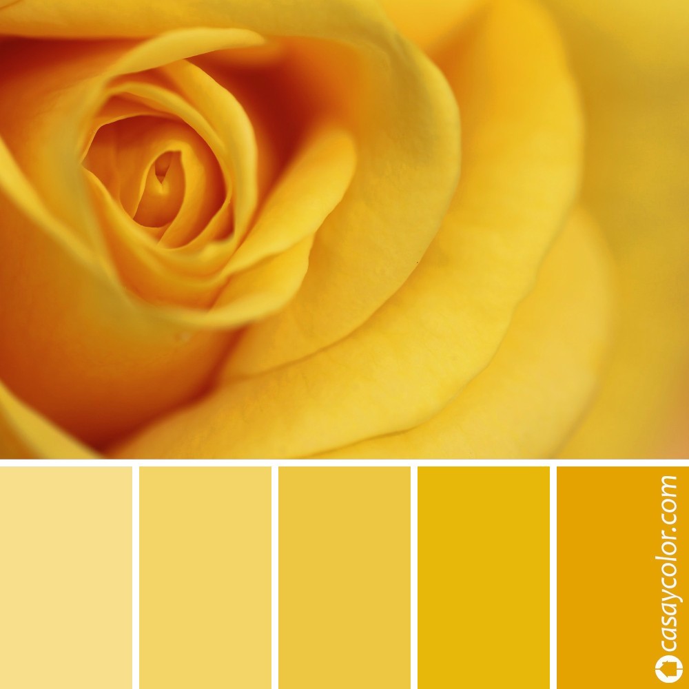 Color Ámbar: qué color es y cómo usarlo en interiores - Casa y Color