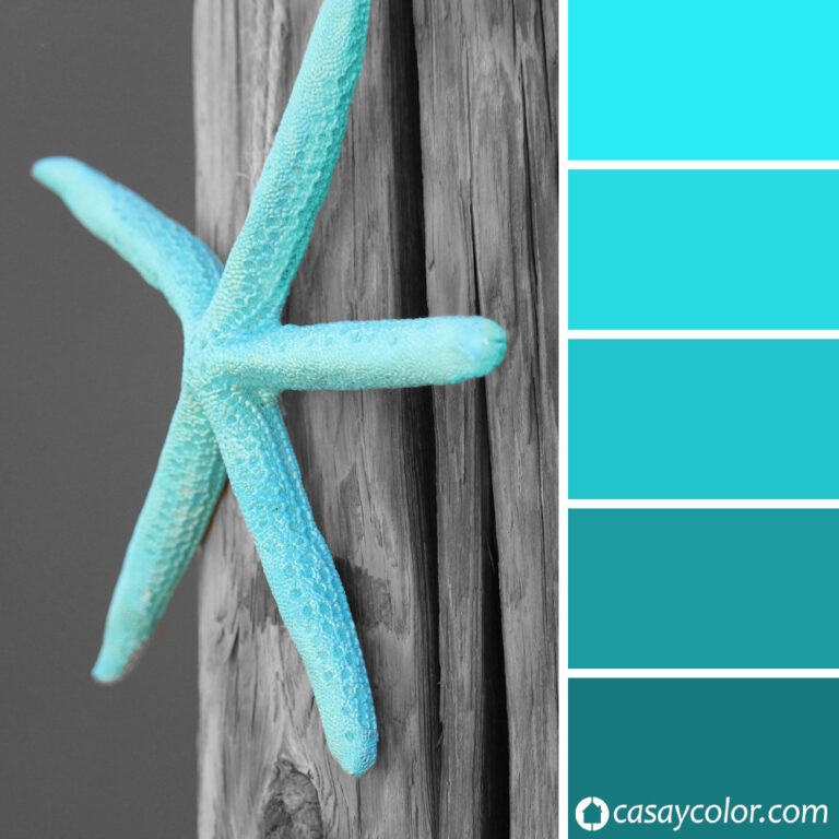 Color azul turquesa: cómo es, significado y combinaciones recomendadas ...