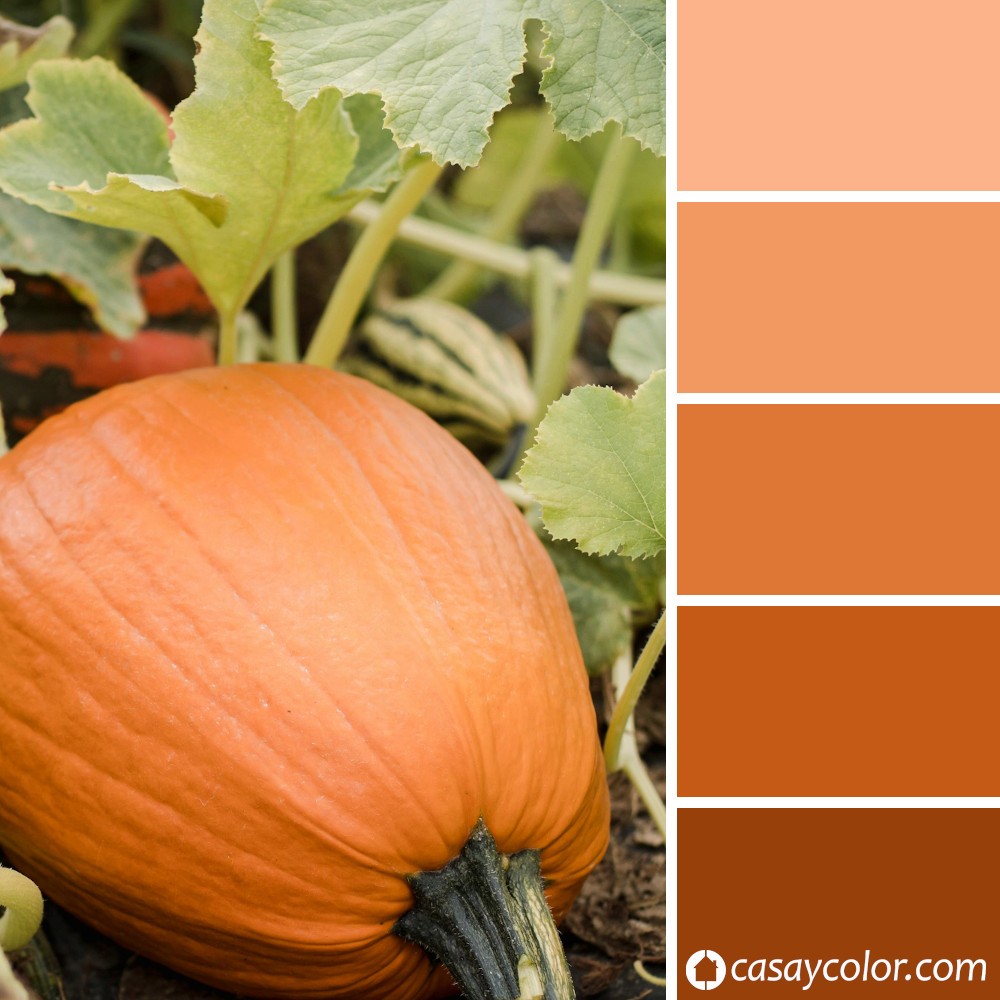 Cómo usar el Color Naranja Calabaza en Paredes Interiores - Casa y Color